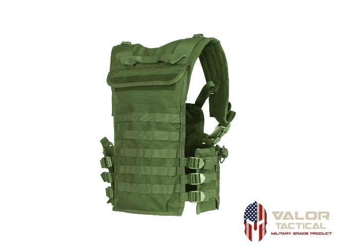 Plate Carrier/Chest Rig